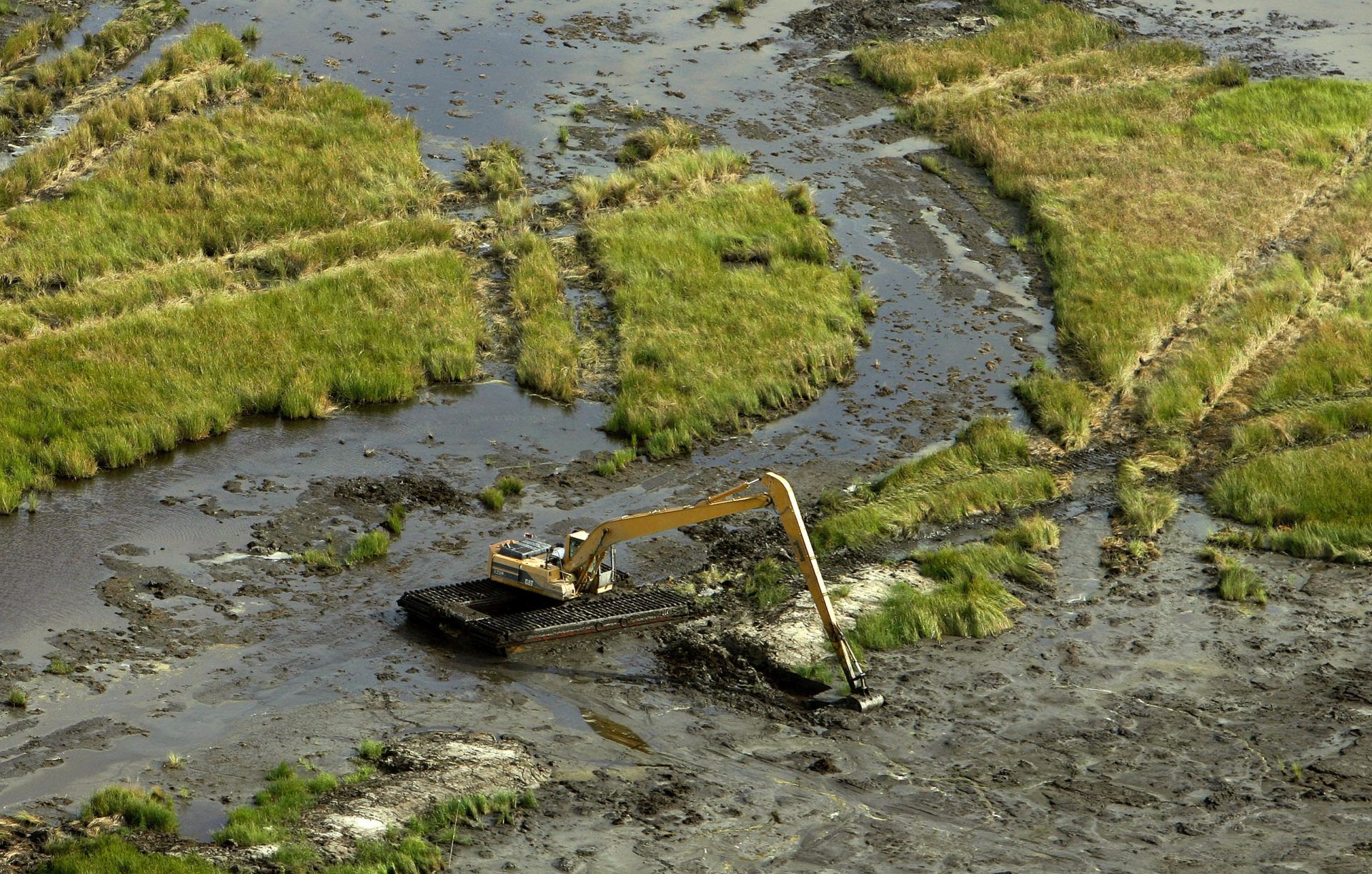Largest marsh restoration in state history nears completion
