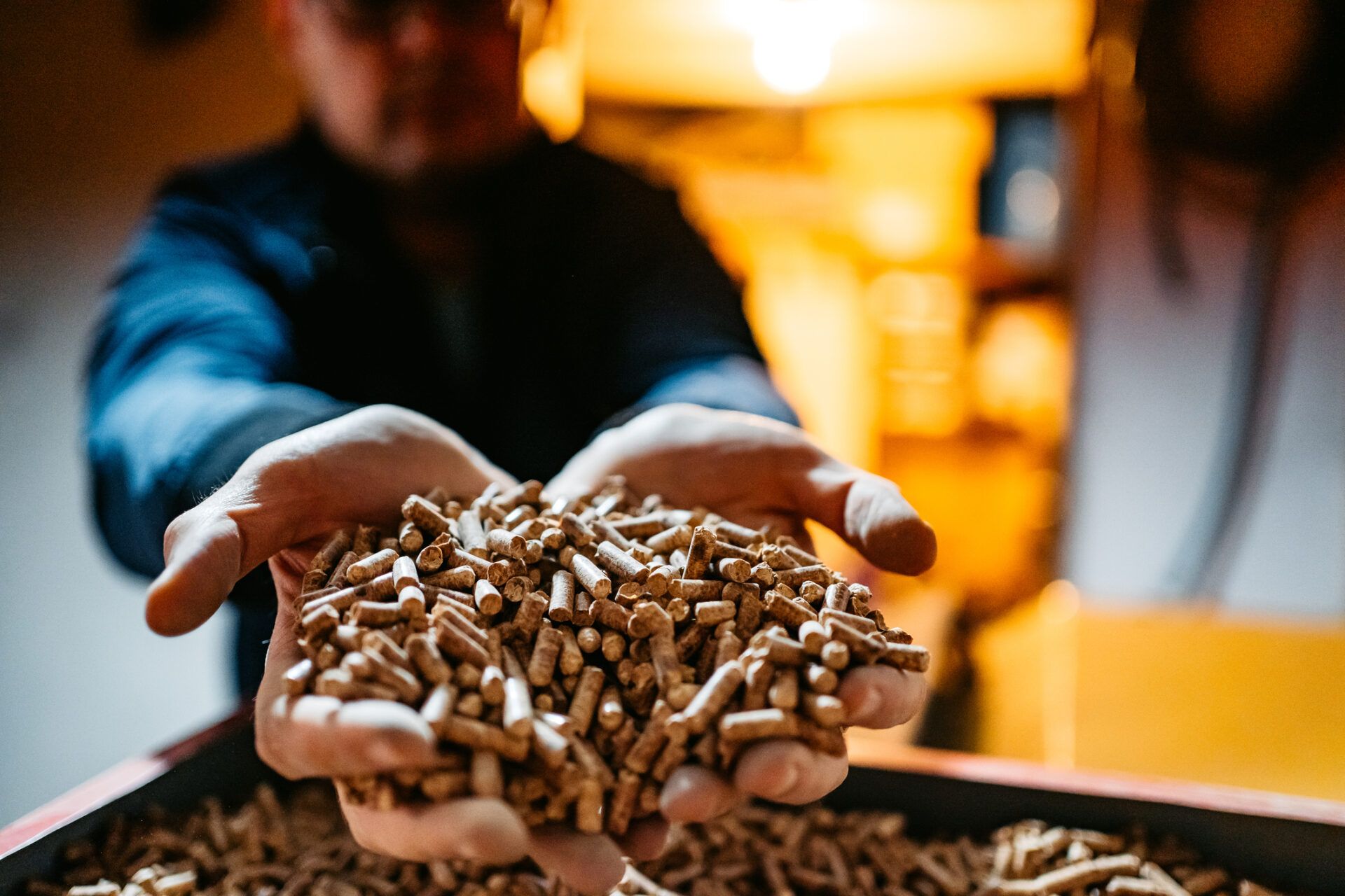 Carbon Direct and C2X announce forestry residue-to-biofuel project in ...